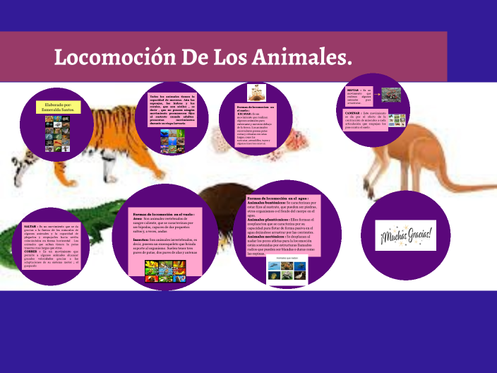 La Locomoción De Los Animales by Esmeralda Santos on Prezi