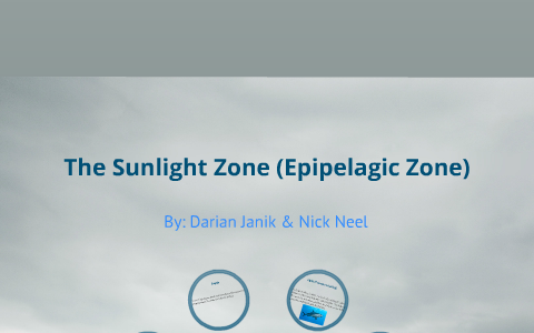 The Sunlight Zone by Darian Janik on Prezi