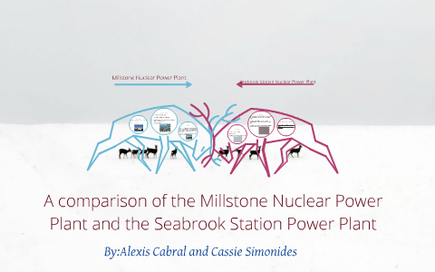 A comparison of the Millstone Nuclear Power Plant and the Seabrook ...
