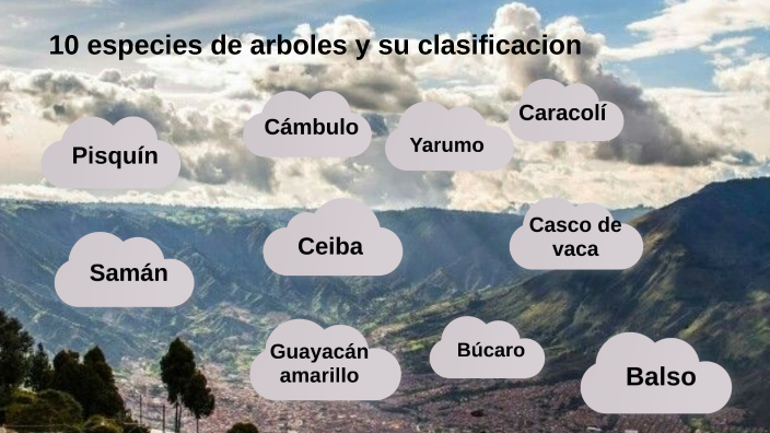 10 especies de árboles by Blainci -kun on Prezi