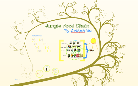 Jungle Food Chain by Ariana Wu on Prezi