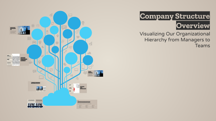 Company Structure Overview by Mariam Elnaggar on Prezi