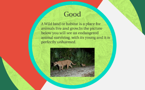 Helping Habitats by Caleb Robinson on Prezi