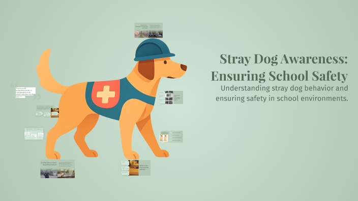 Stray Dog Awareness: Ensuring School Safety by Alan George on Prezi