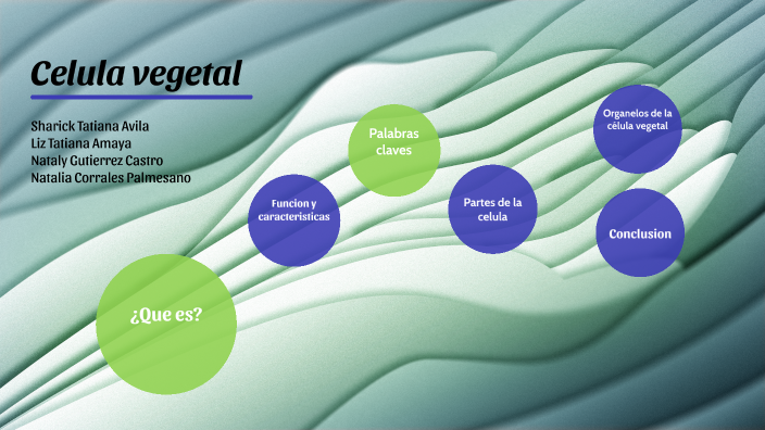 Celula Vegetal by nat castro on Prezi