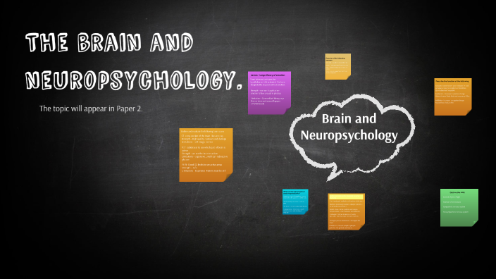 Brain and Neuropsychology by Duncan Carmichael on Prezi