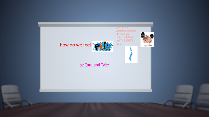how do we feel pain by Tyler fairhurst on Prezi