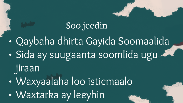 Dhirta Soomalida by Barkhad Ibrahim on Prezi