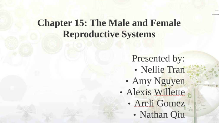 Chapter 15: The Male and Female Reproductive Systems by Nellie Tran on ...