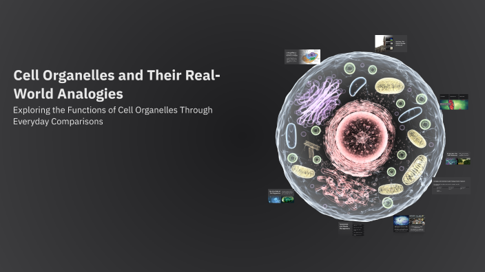 Cell Organelles and Their Real-World Analogies by Jon Bell on Prezi