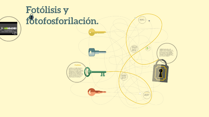 Fotólisis y fotofosforilacion. by Yuliana Castellanos on Prezi
