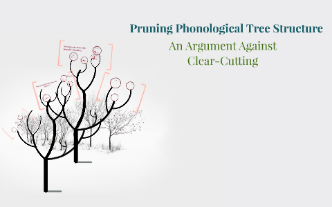 Pruning Phonological Tree Structure by Heather Newell on Prezi