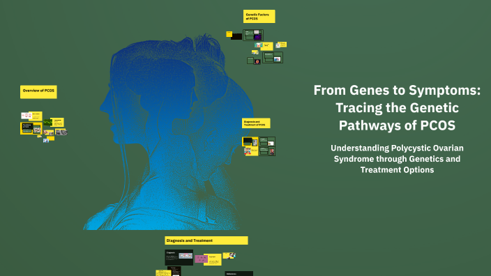 From Genes to Symptoms: Tracing the Genetic Pathways of PCOS by Delaney ...