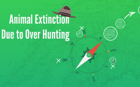 Animal Extinction Due to Over Hunting by Anna Vogel on Prezi