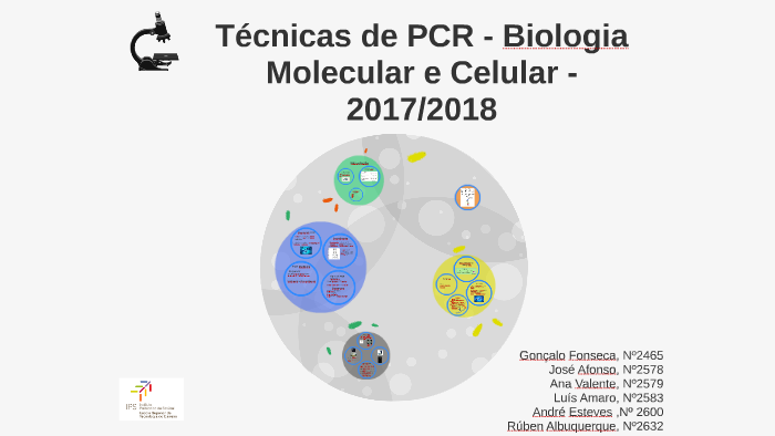 Técnicas de PCR - Biologia Molécular e /Celular - 2017/2018 by Luis ...