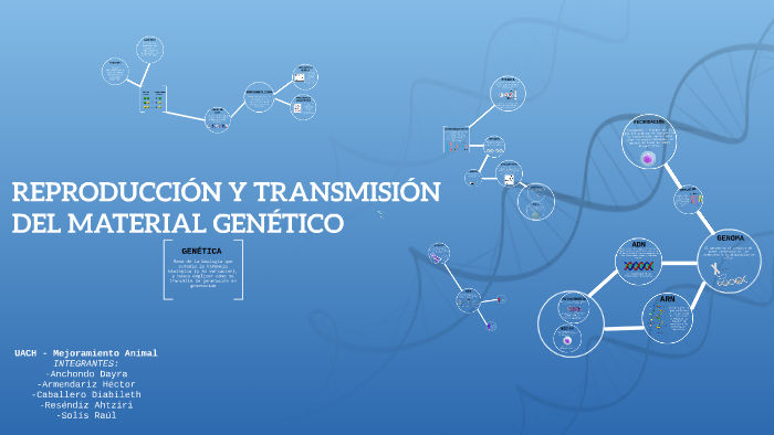 REPRODUCCIÓN Y TRANSMISIÓN DEL MATERIAL GENÉTICO by Ahtziri Reséndiz on ...