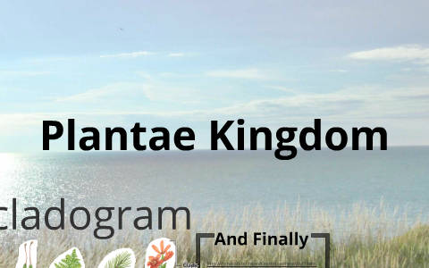 Plantea Kingdom by Amy Myles on Prezi