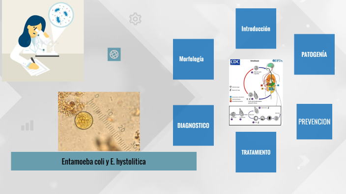 Entamoeba coli y E. histolytica by Karla Figueroa on Prezi