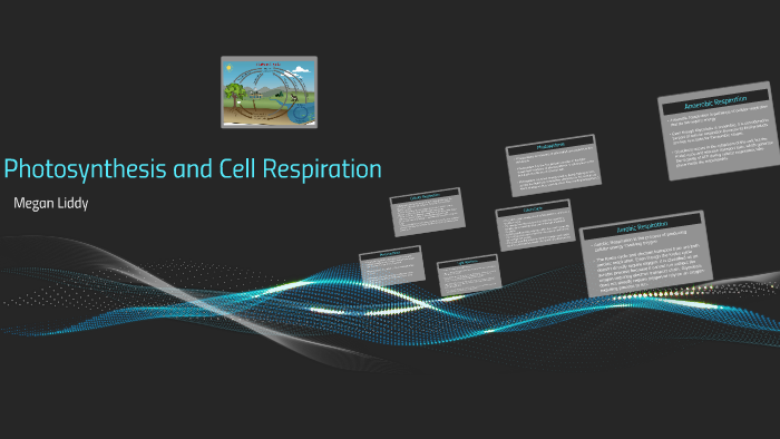 Carbon Cycle by Megan Liddy on Prezi