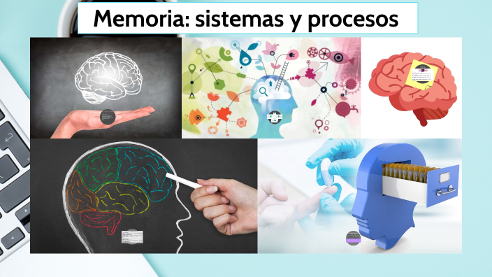 La Memoria By Magalí García On Prezi