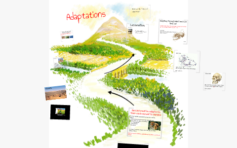 Adaptations by julie beaudet on Prezi