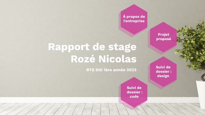 Diaporama rapport de stage BTS SIO 1 2022-2023 by Nicolas Rozé on Prezi
