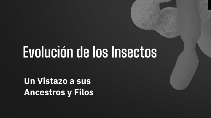 Evolución de los Insectos by DANIEL FELIPE ARAMENDIZ REY on Prezi