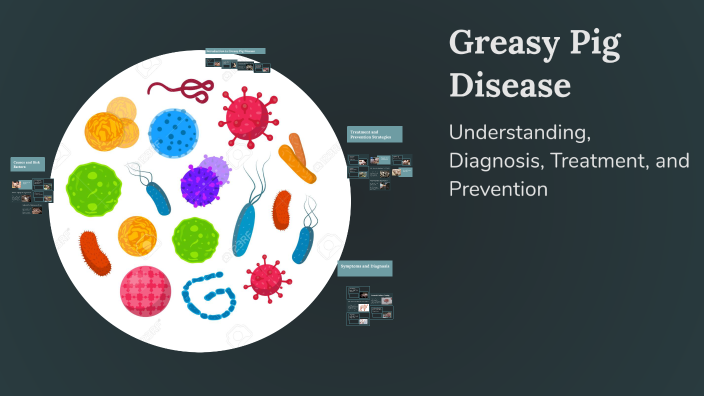 Greasy Pig Disease by Dontarius Colbert on Prezi