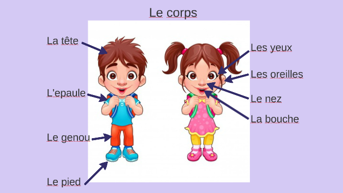 Le corps humain by Lucie Lambert on Prezi