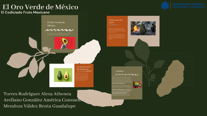El Oro Verde de México by Athenea Rodrìguez on Prezi