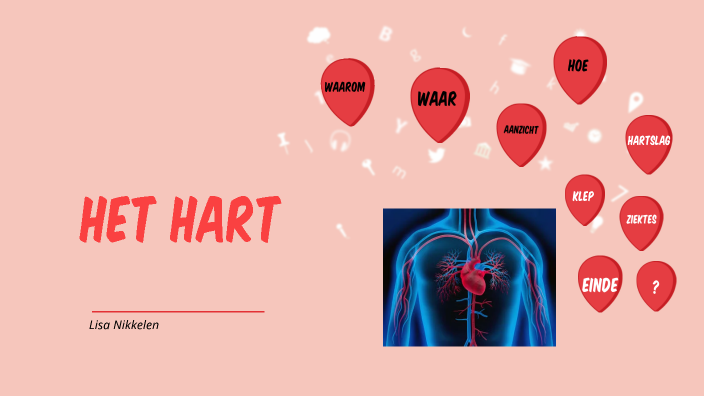 Het Hart spreekbeurt Lisa by Lisa Stunnenberg on Prezi