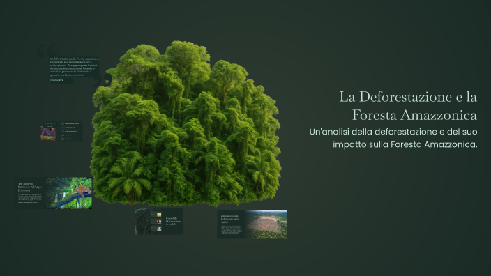 La Deforestazione e la Foresta Amazzonica by Francesco Bellia on Prezi