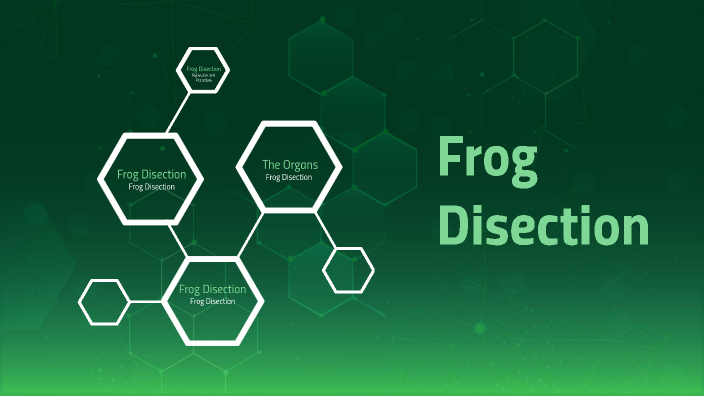 Frog Dissection Project by Nolan Kirk on Prezi