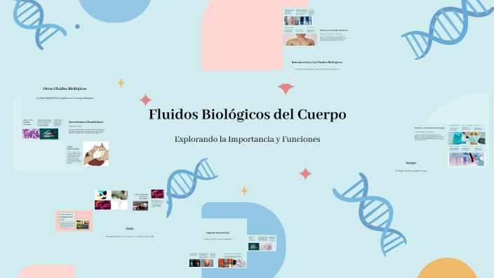 Fluidos Biológicos del Cuerpo by bioquimi eq7 si on Prezi