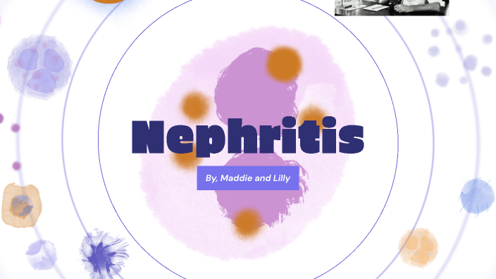 Urinary System Project by Maddie Martin on Prezi