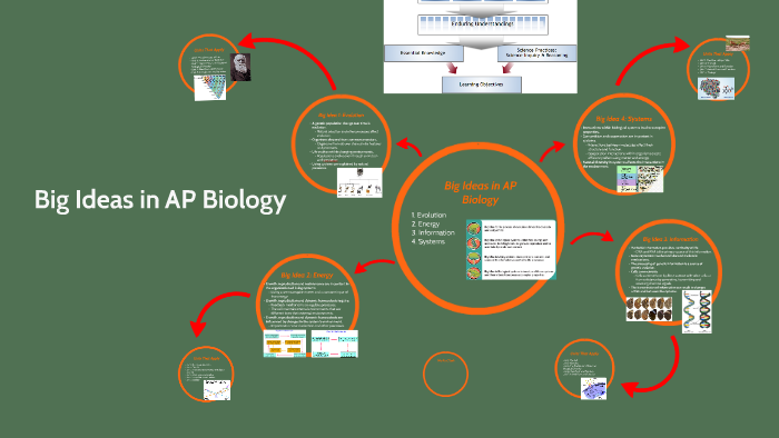 Big Ideas in AP Biology by Leah Fogelsanger on Prezi