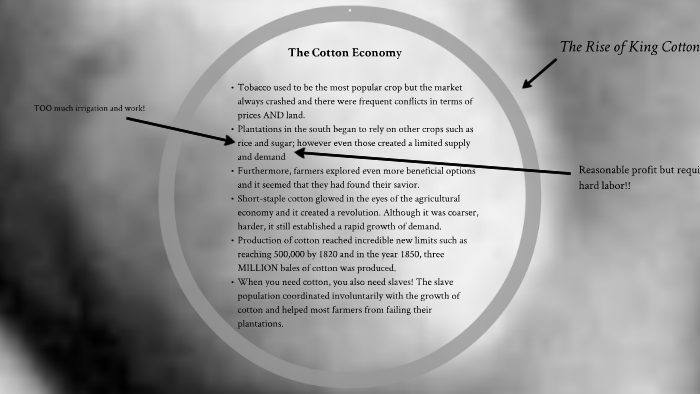 Chapter 11: Cotton, Slavery and the Old South by Leyla Erhan on Prezi