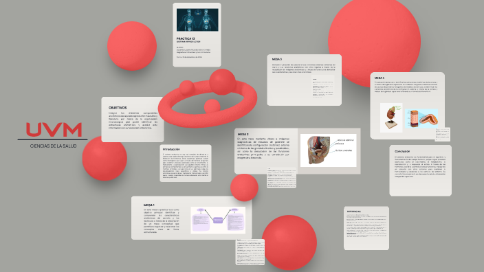 Practica by May Velasco on Prezi