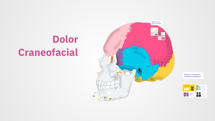 Dolor Craneofacial by Pablo Flores on Prezi