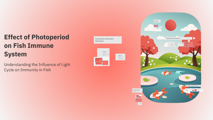 Effect of Photoperiod on Fish Immune System by ALI REZA KHANSARI on Prezi