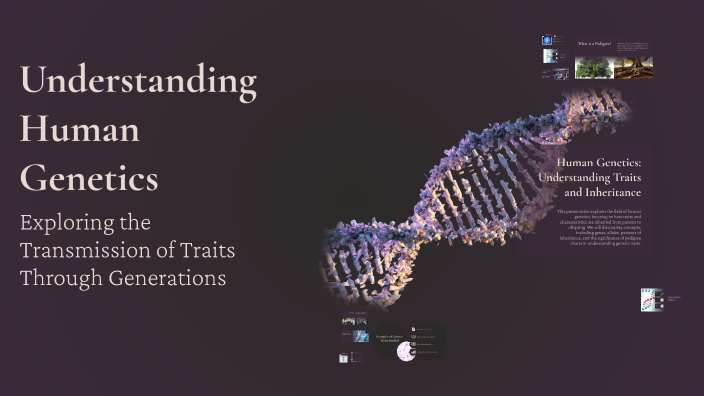 Understanding Human Genetics by Omar Alami on Prezi