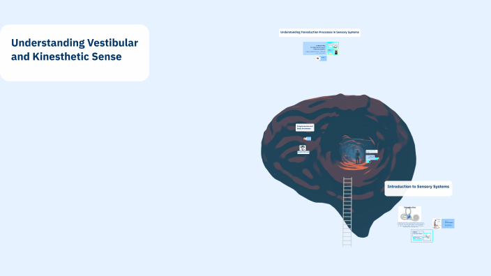 Understanding Vestibular and Kinesthetic Sense by HIRAM MORA SAUCEDA on ...