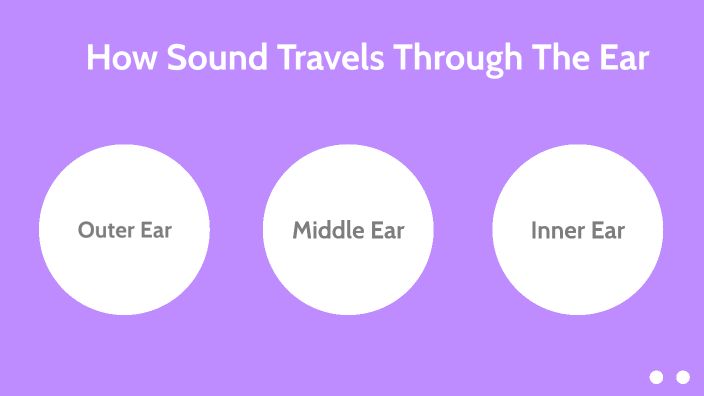 How Sound Travels Through The Ear by Jenna Sebren