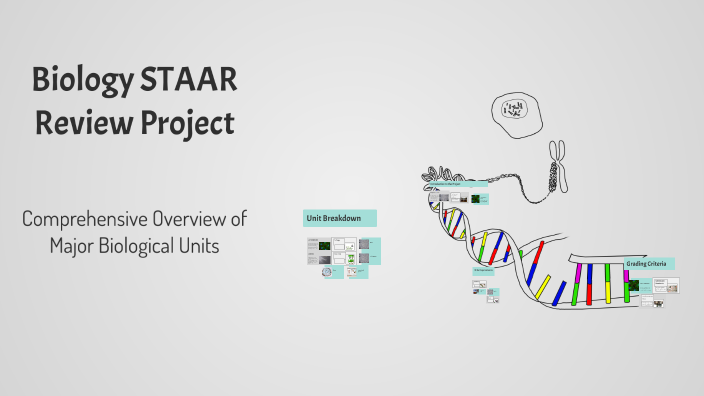 Biology STAAR Review Project by Keyla Olmo on Prezi