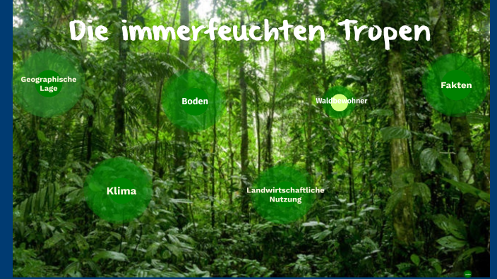 Kopie von Immerfeuchte Tropen by nessa voigt on Prezi