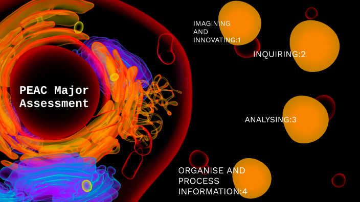 PEAC major assessment by Narelle Young on Prezi