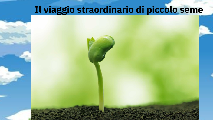 La storia del seme by Giulia Orelli on Prezi