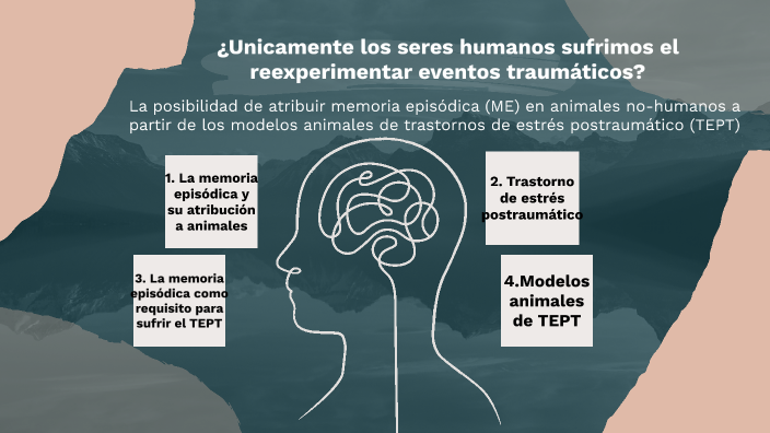 ¿Unicamente los seres humanos sufrimos el reexperimentar eventos ...