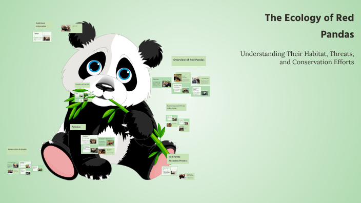 The Ecology of Red Pandas by Keyleigh Pratt on Prezi