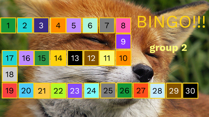 BINGO by Anjolie Nguyen on Prezi